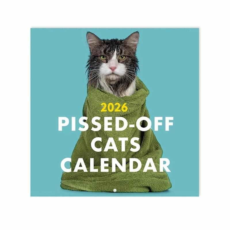 Календарь на 2026 год с милыми рисунками, Синий