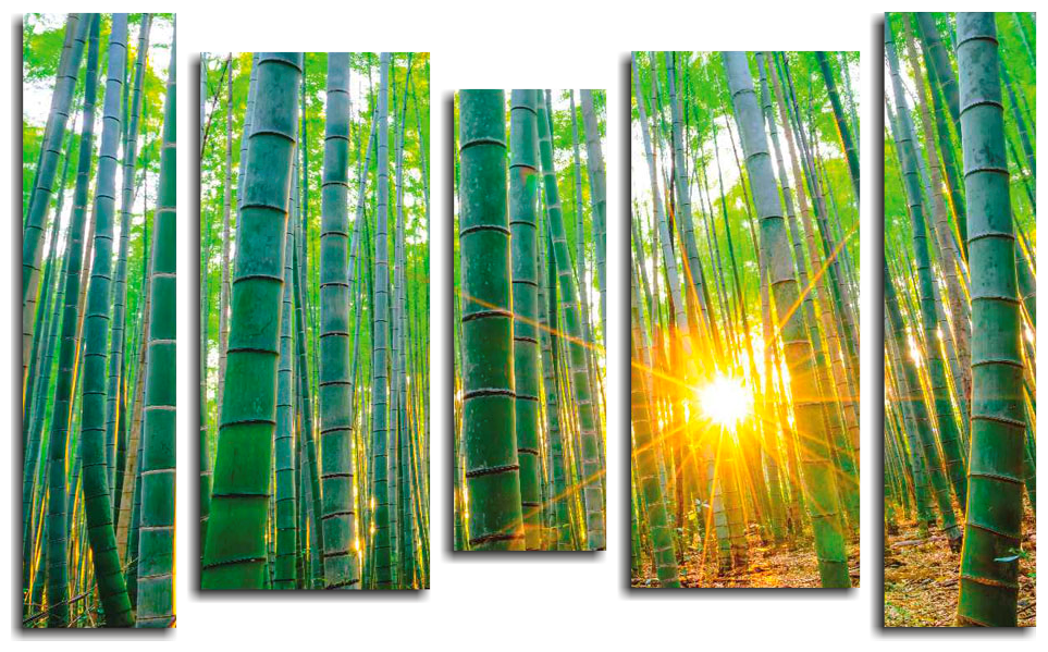 Модульная картина Бамбуковый лес 161х90 см