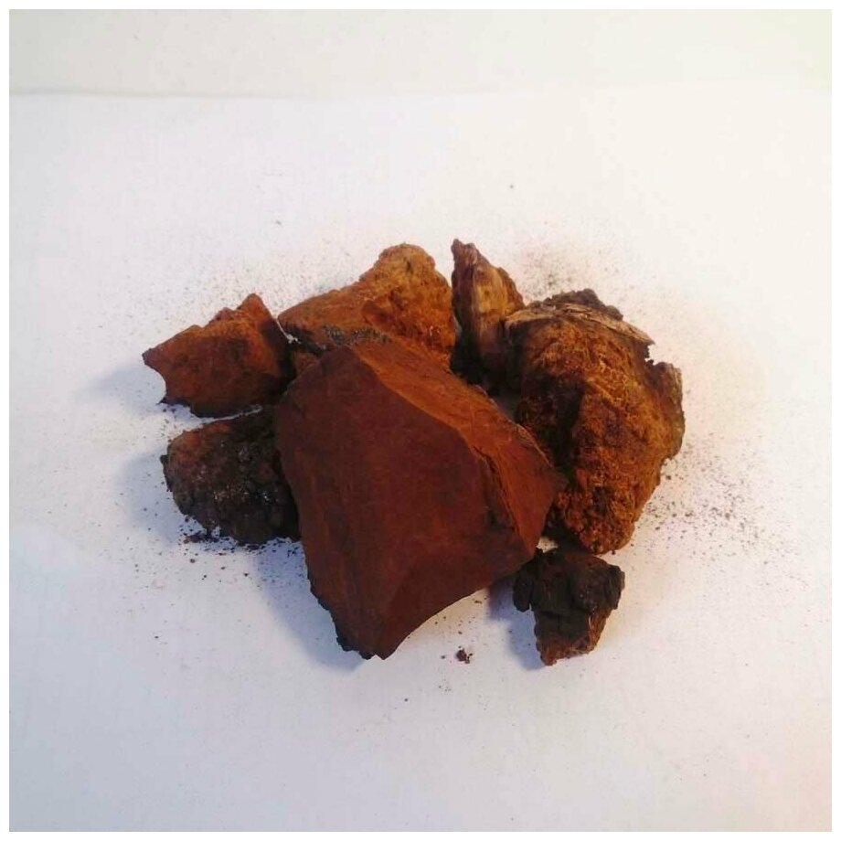 Чага березовая (гриб) 500 г