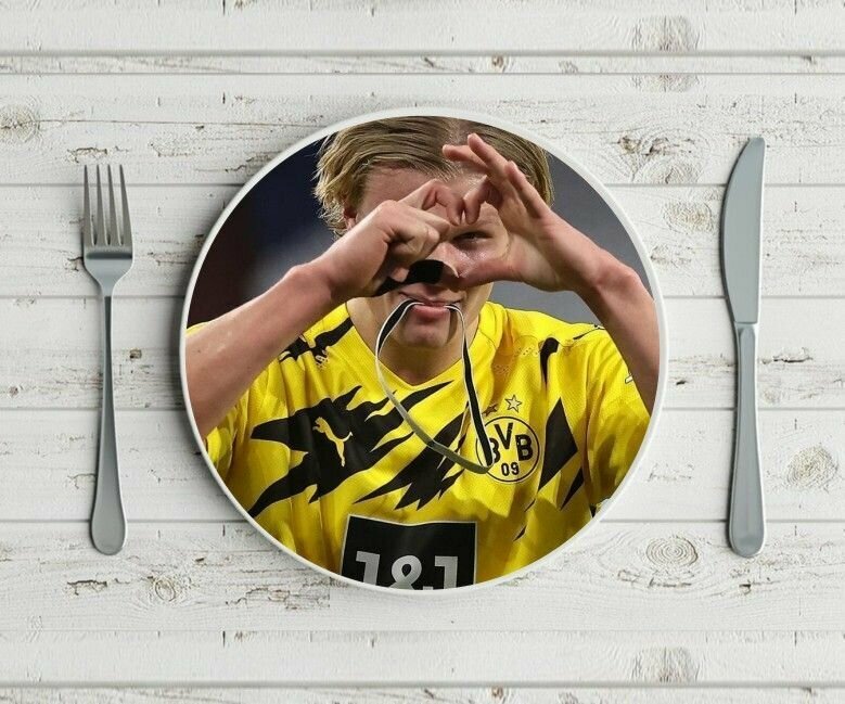 Тетрадь Эрлинг Холанн, Erling Haaland №9