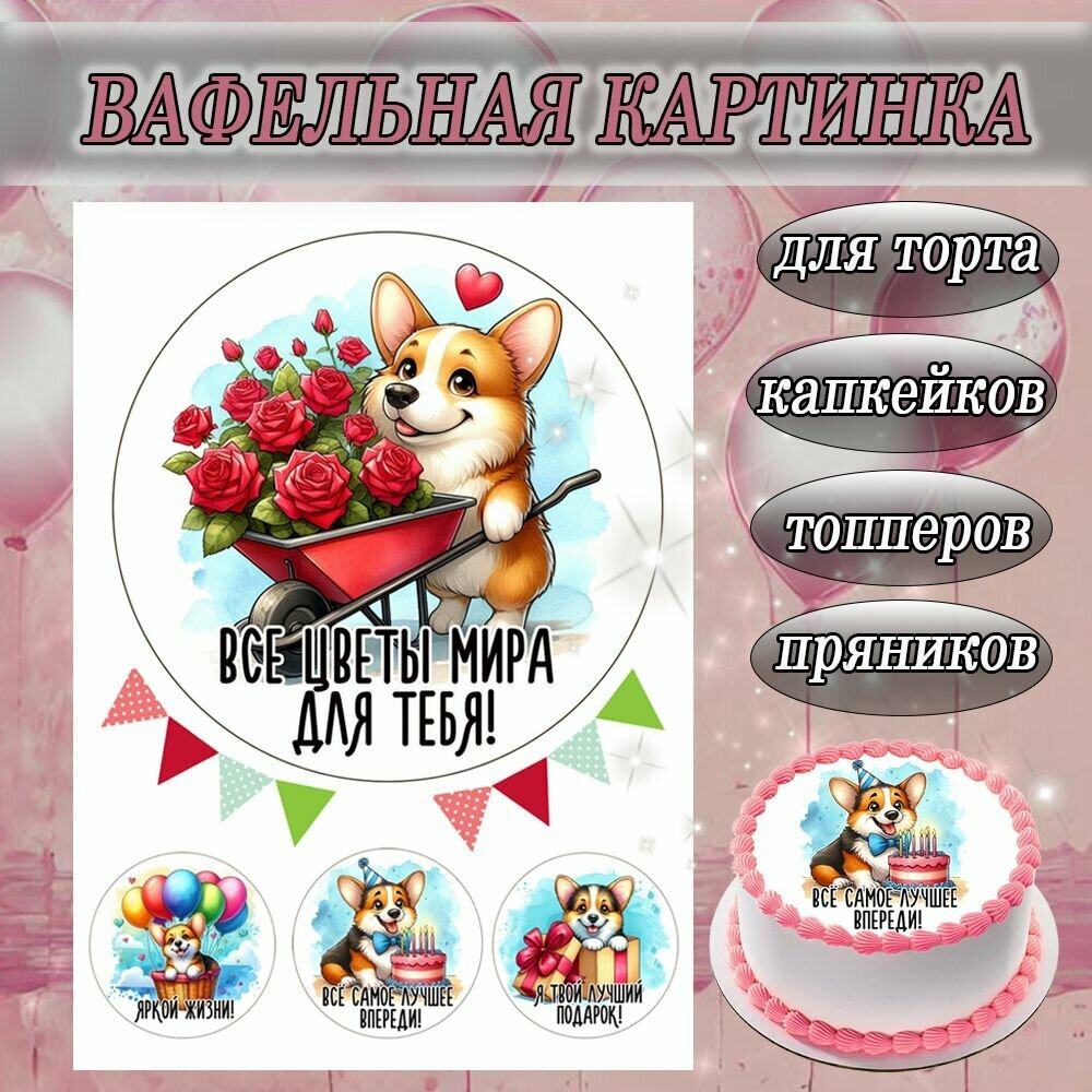 Вафельная картинка Корги/Собаки, размер листа А4 для торта, капкейков и пряников съедобная
