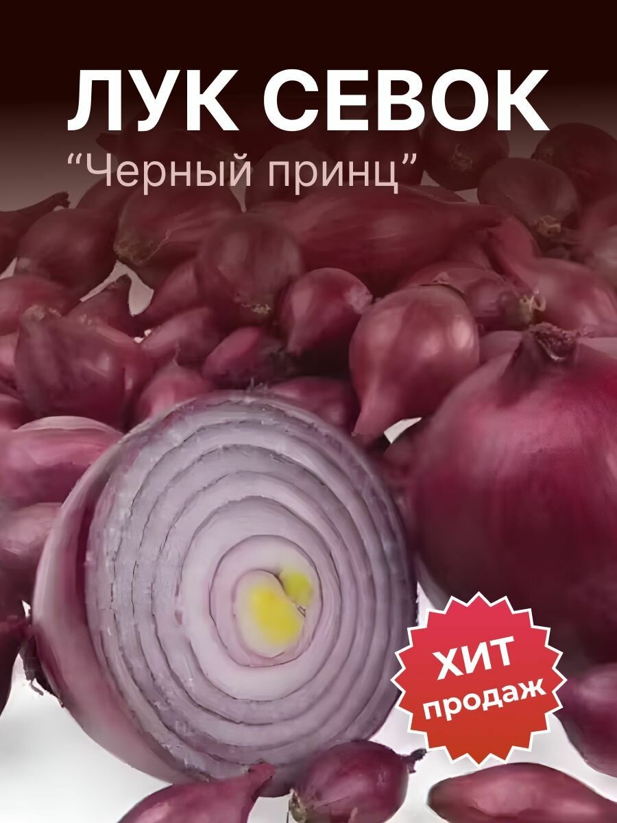 Лук севок на посадку красный " Черный принц " 600г