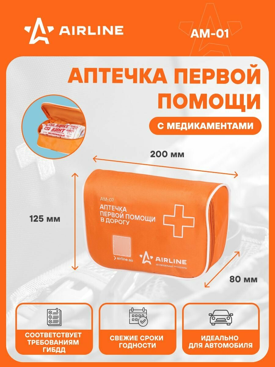 Аптечка 2 шт дорожная автомобильная, органайзер в автомобиль / пластиковый футляр AM-01 AIRLINE