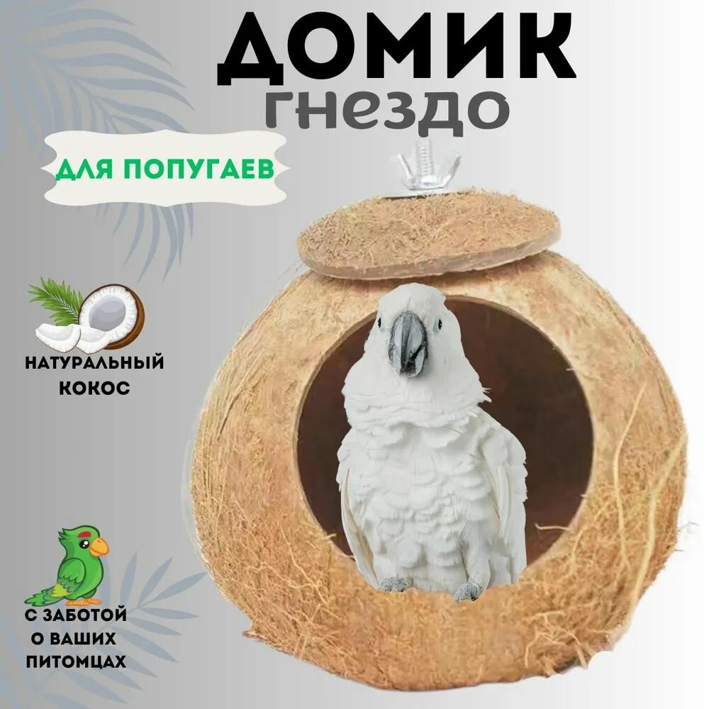Гнездо для попугаев из натурального кокоса с подстилкой