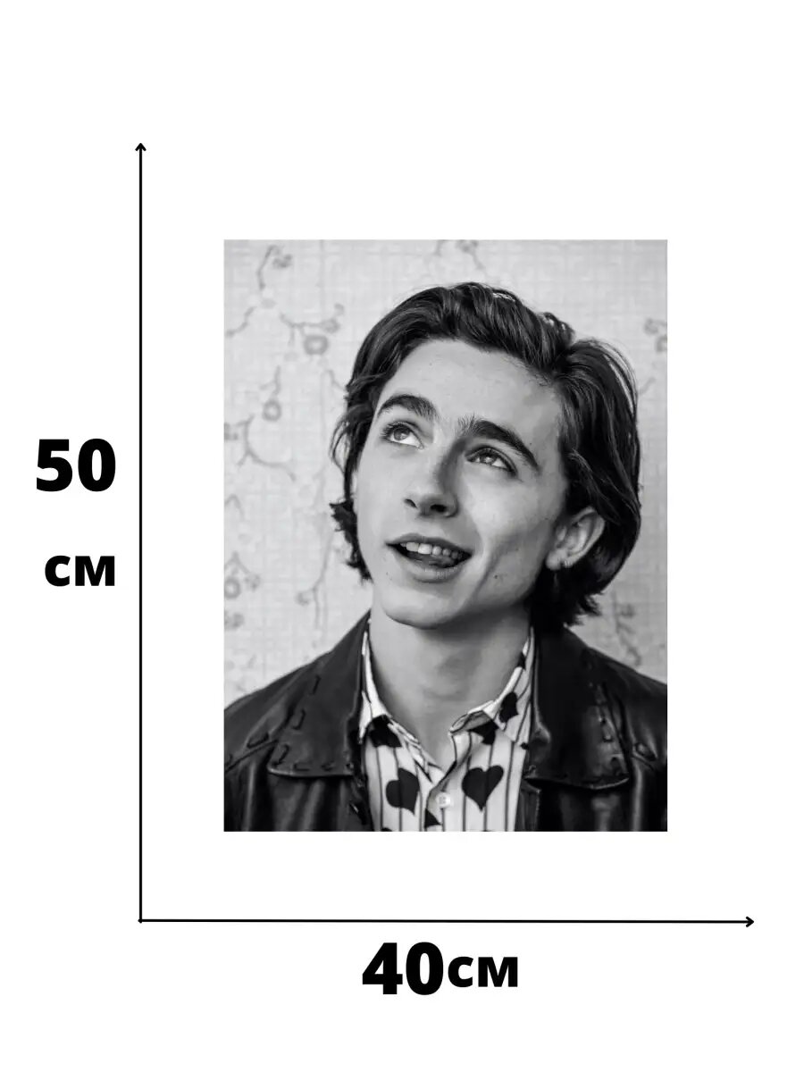 Постер Тимоти Шаламе, размер 40 x 50 см, материал бумага, без рамы