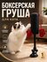 Боксерская груша для кота