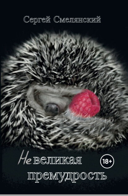 Невеликая премудрость [Цифровая книга]