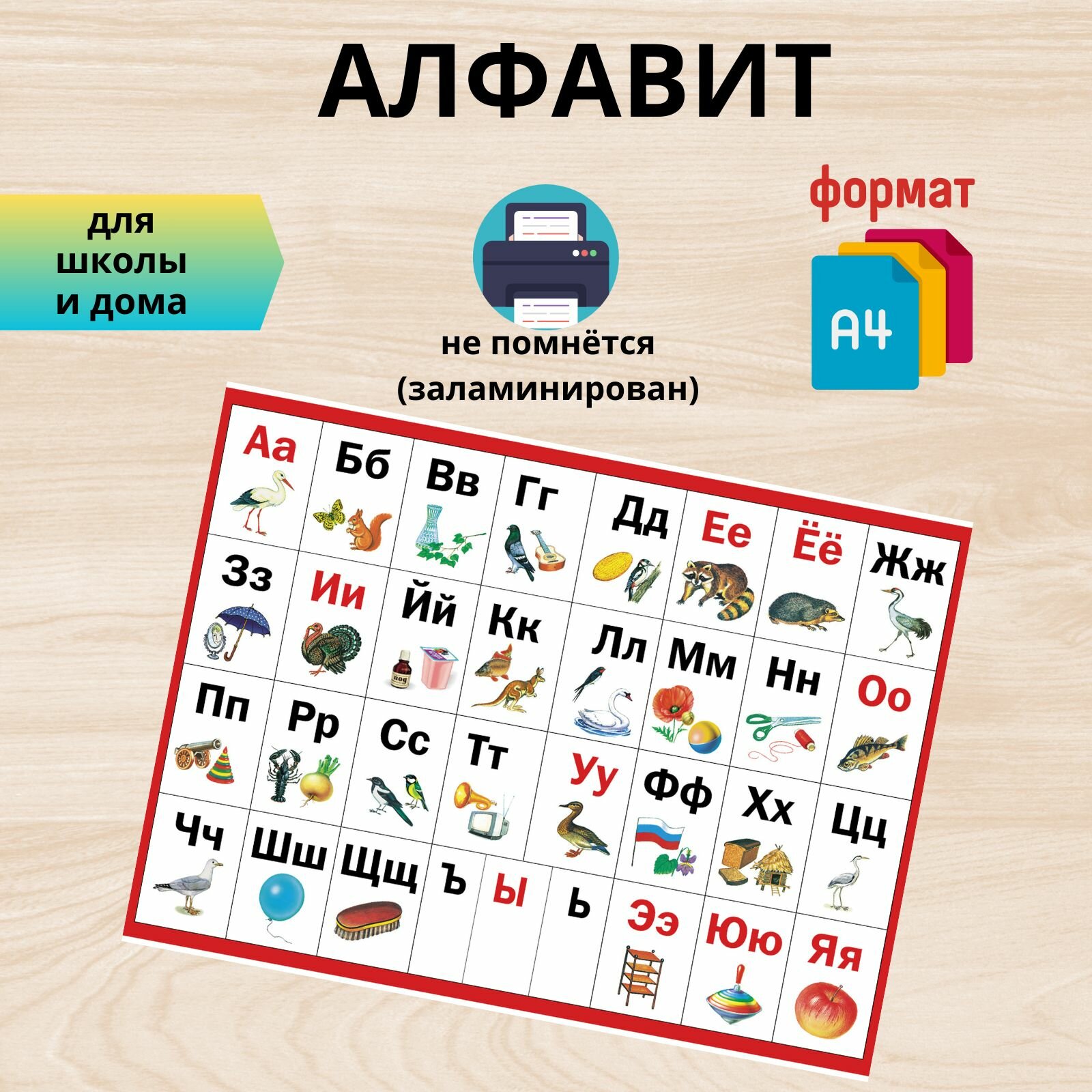 Плакат обучающий с ламинацией А4 "Азбука-Алфавит" для школы и дома