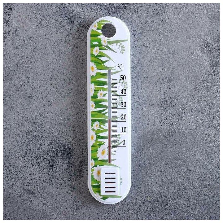 Термометр комнатный ПТЗ диапазон измерения от 0 до +50C (П-1)