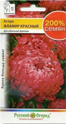 Семена астры "Фламир красный", 10 упаковок по 0,5 гр - цветы будут радовать ярким и пышным цветением на протяжении всего лета.