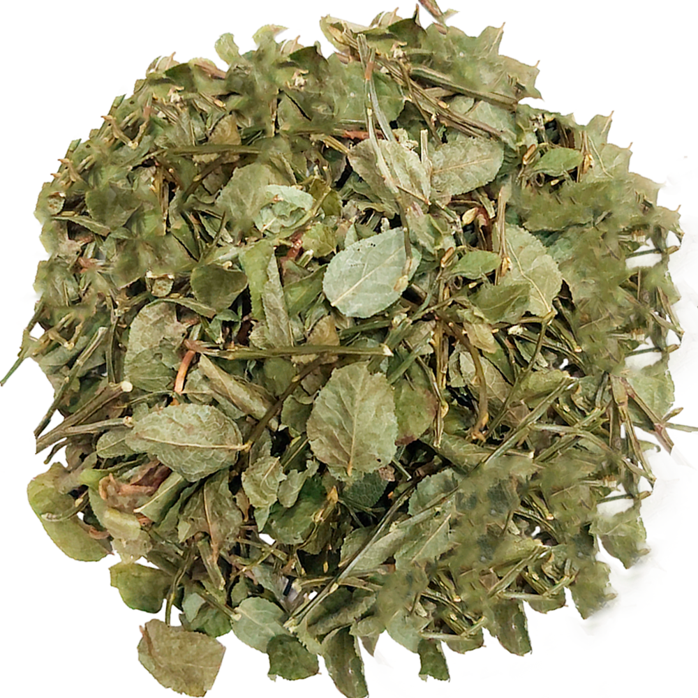 Черника, побеги и листья 15г.