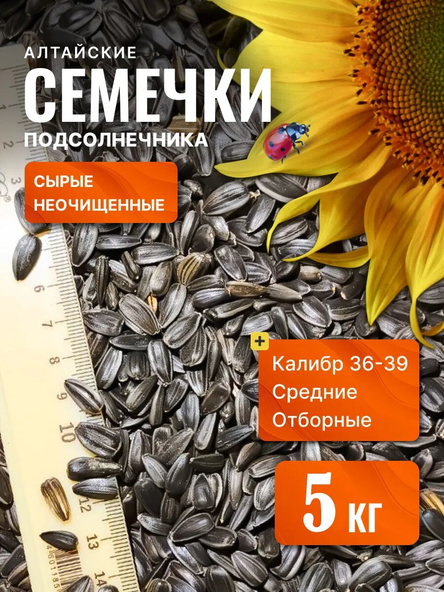 Семечки подсолнечника Алтайские сырые 5 кг, средние