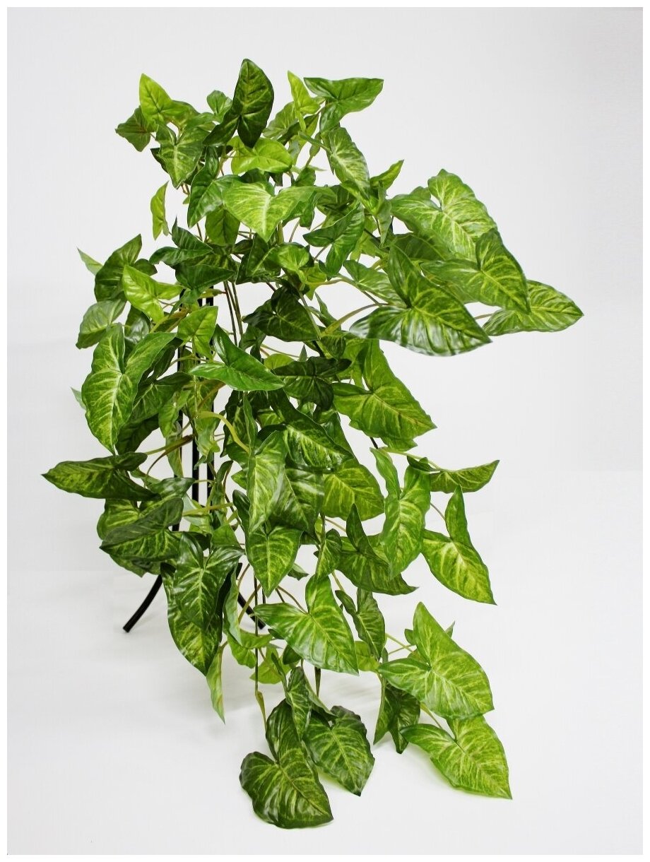 Лиана Сингониум искусственная, бренд CONEKO - декор для дома и офиса