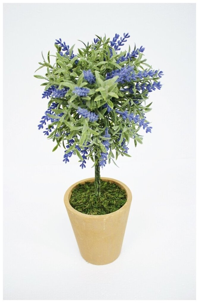 Шар из лаванды в кашпо, бренд CONEKO - декор для дома и офиса