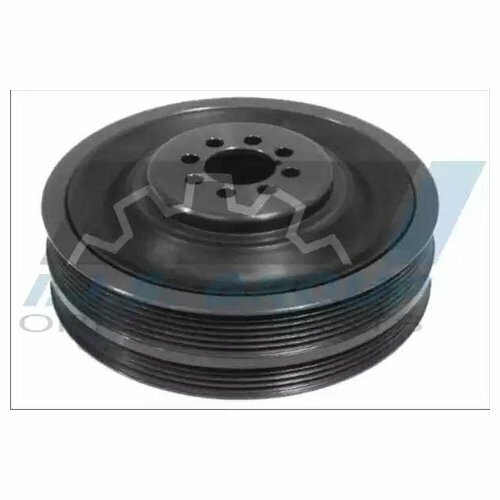 I.J.S. GROUP 171056 Шкив коленвала Audi A4/A6/A8/Allroad / Skoda SuperB / VW Passat 2.5TDi 97-