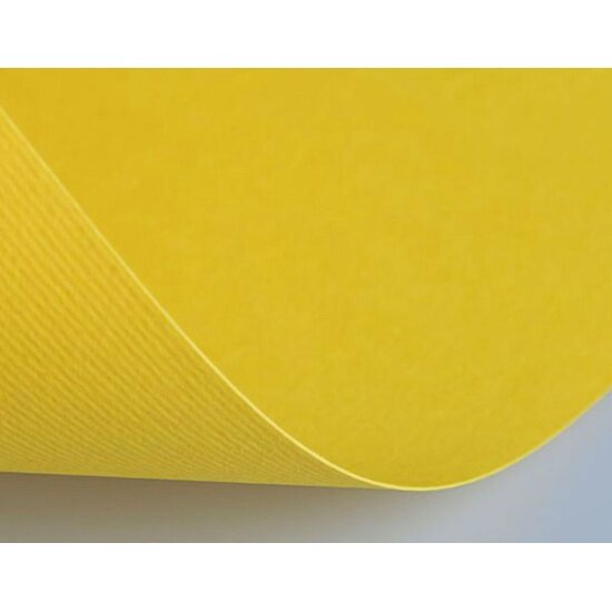 Картон Fabriano для творчества (1 лист) Elle Erre А2+ 500х700 мм, 220 г/м2, желтый, 42450707