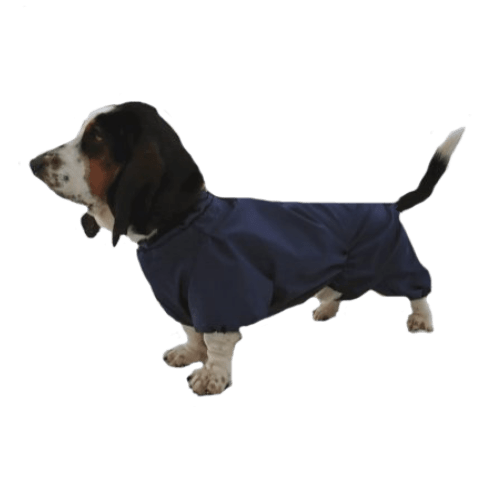 Комбинезон-дождевик для бассета кобеля, повышенной прочности, цвет темно-синий