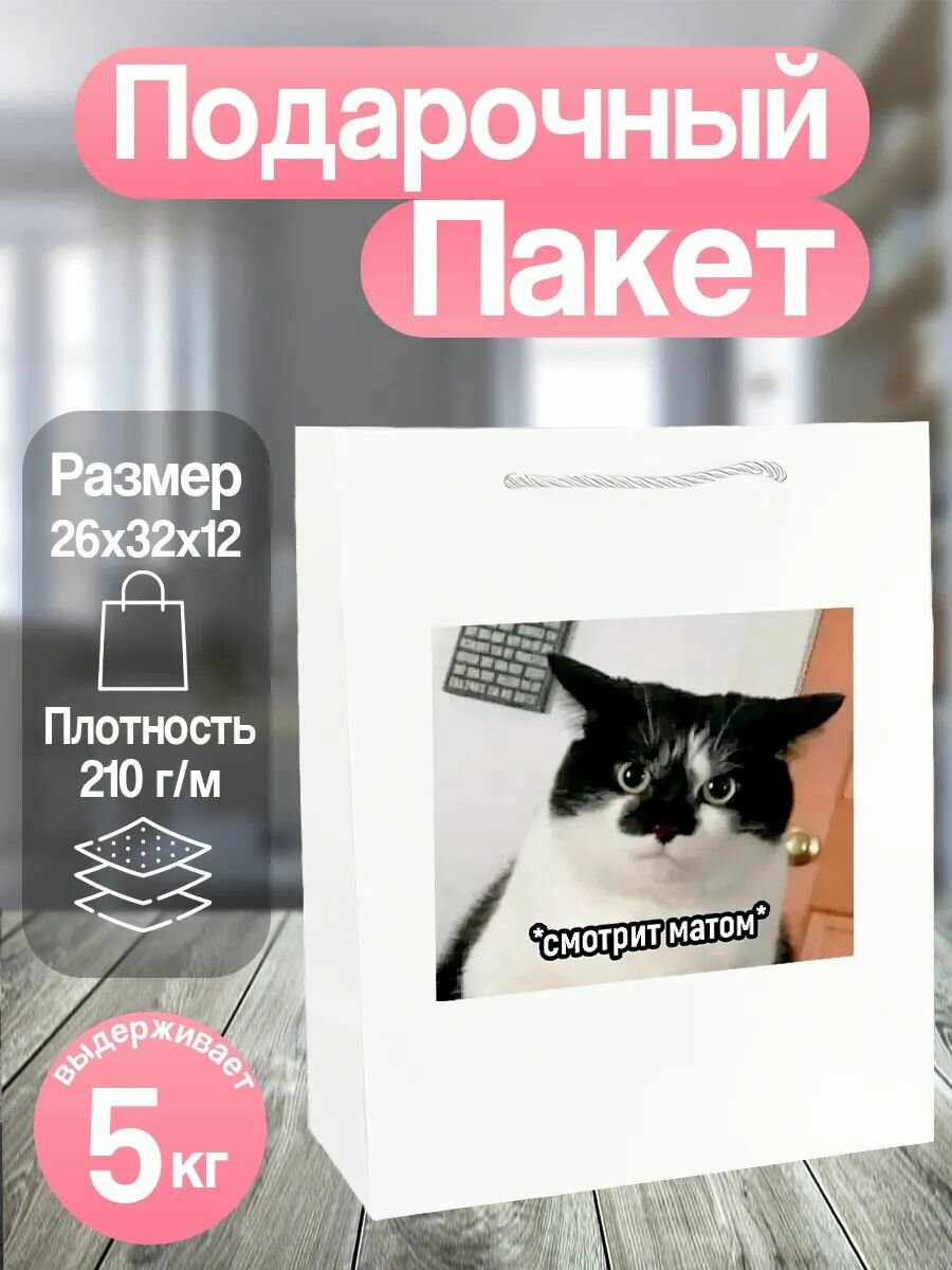 Пакет подарочный большой белый котики мем, упаковка для подарка, 26х31 см