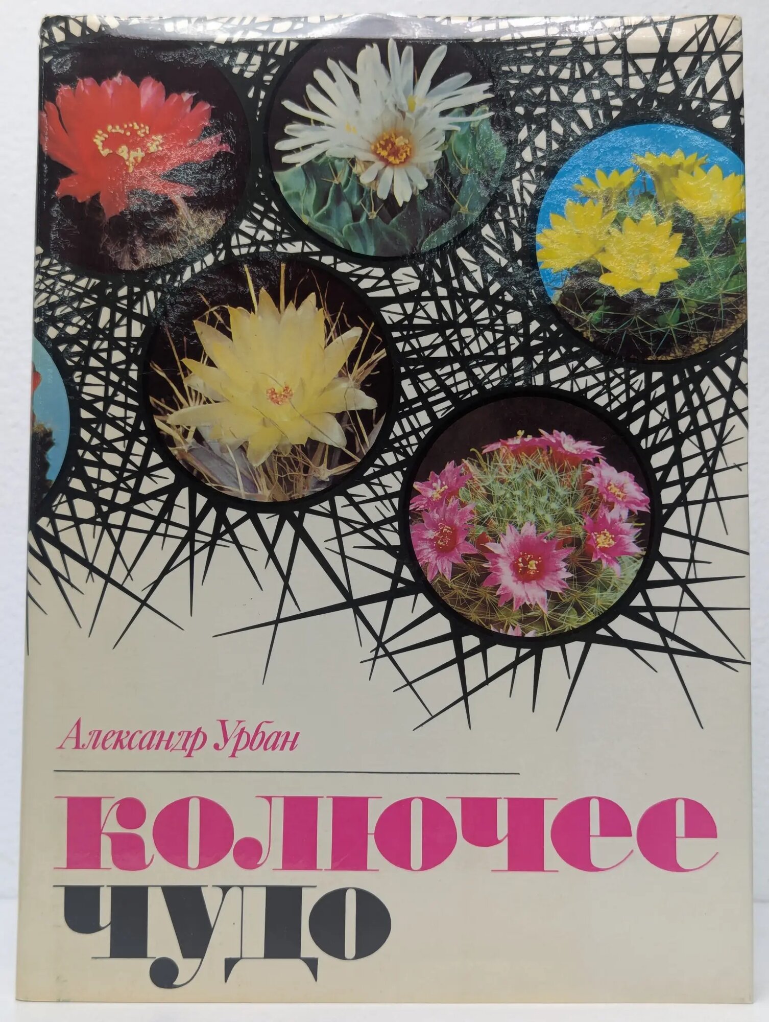 Колючее чудо Урбан Александр 1981