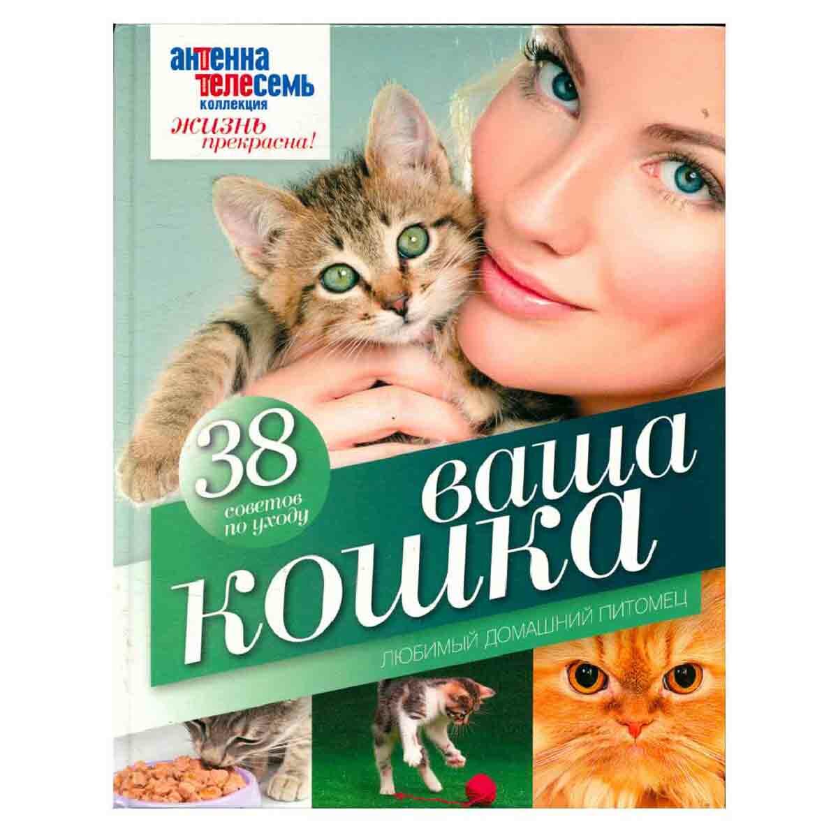 Ваша кошка. Любимый домашний питомец