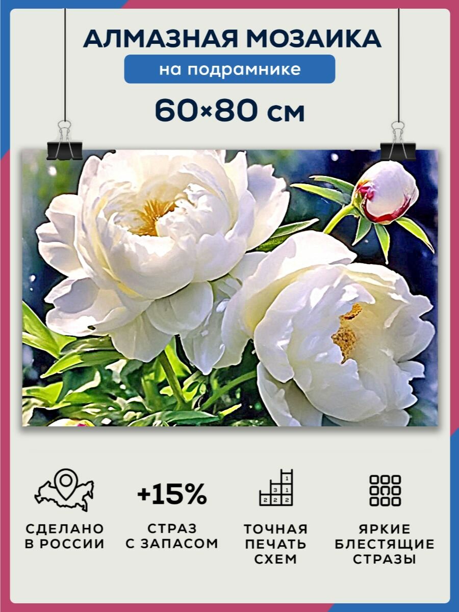 Алмазная мозаика 60x80 Расцвет пион на подрамнике