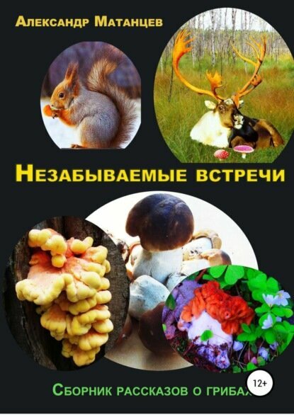 Незабываемые встречи. Сборник рассказов о грибах [Цифровая книга]