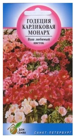 Годеция Монарх, карликовая смесь, 170 семян