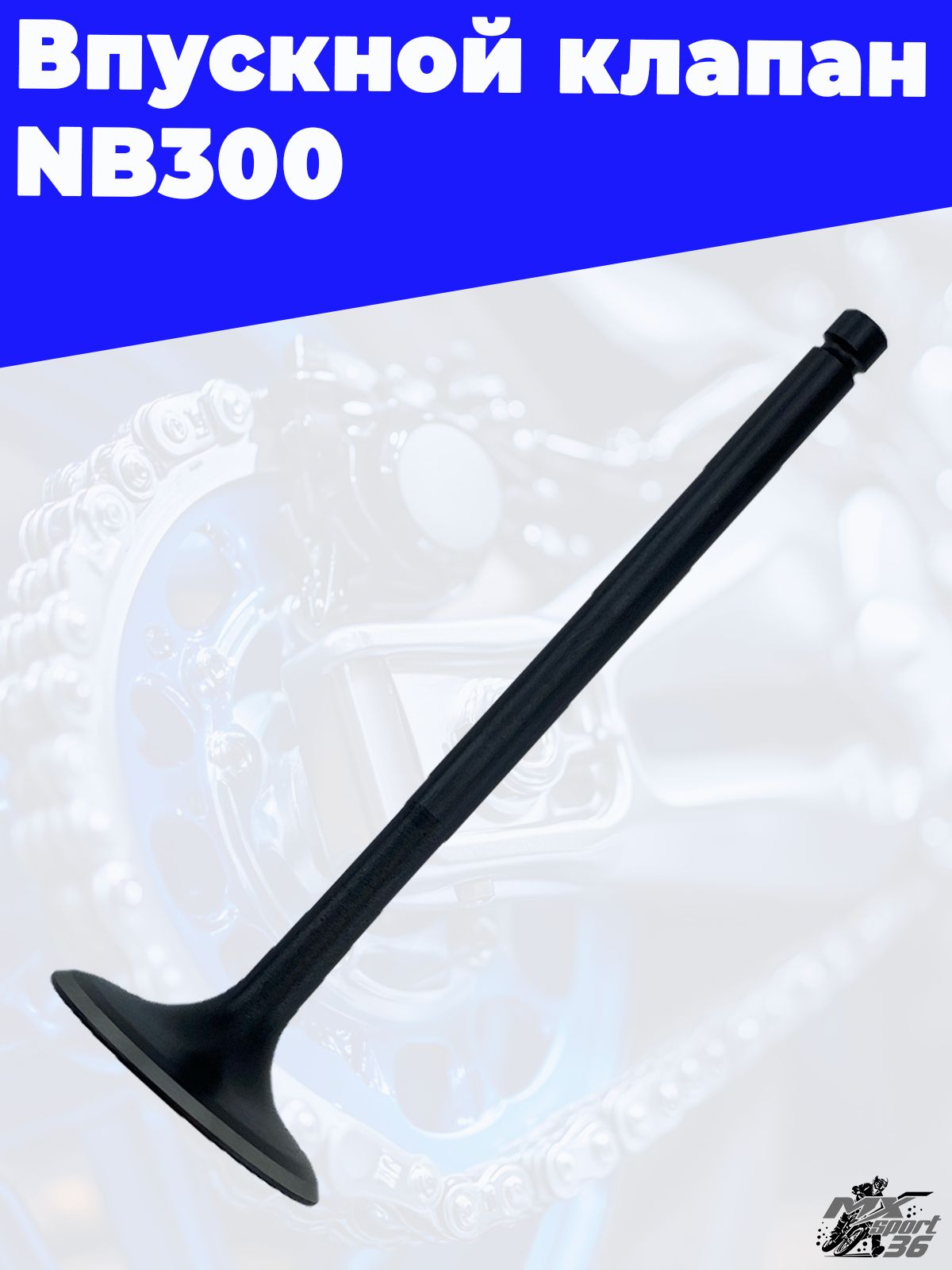 Впускной клапан NB300