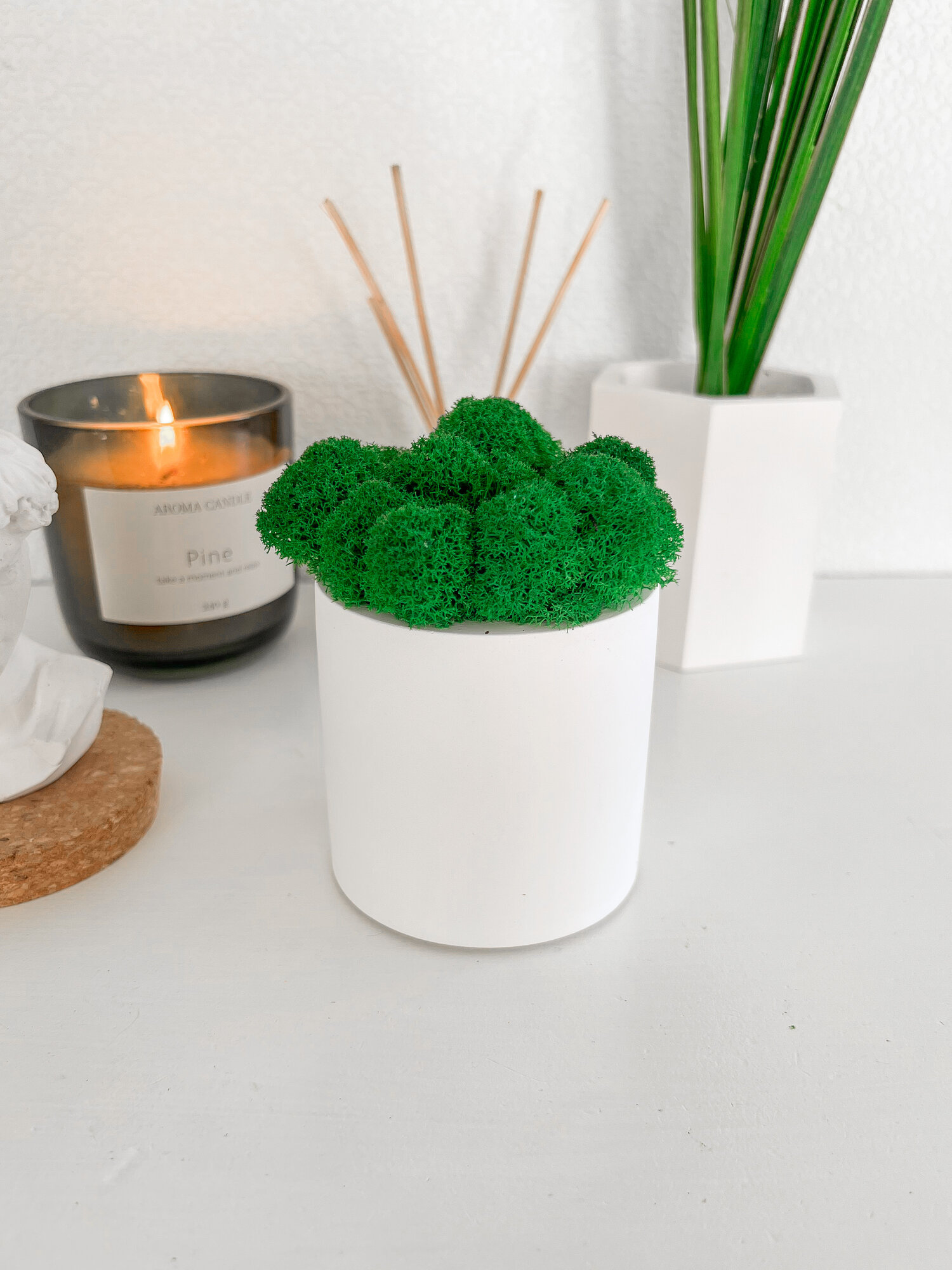 Кашпо со стабилизированным мхом Molecula Decor