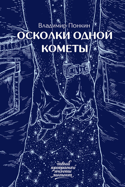 Осколки одной кометы [Цифровая книга]