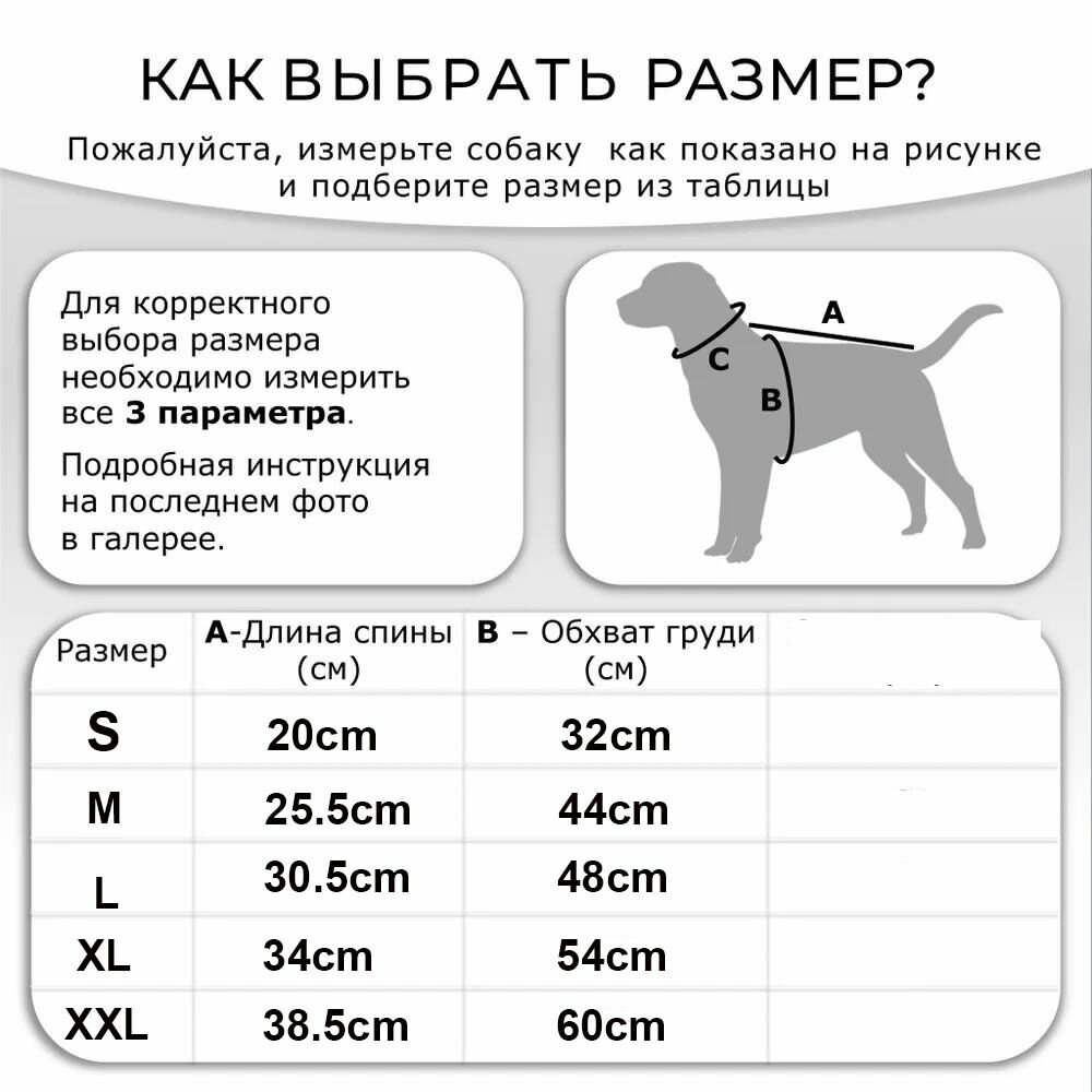 Одежда для животных — фото 1