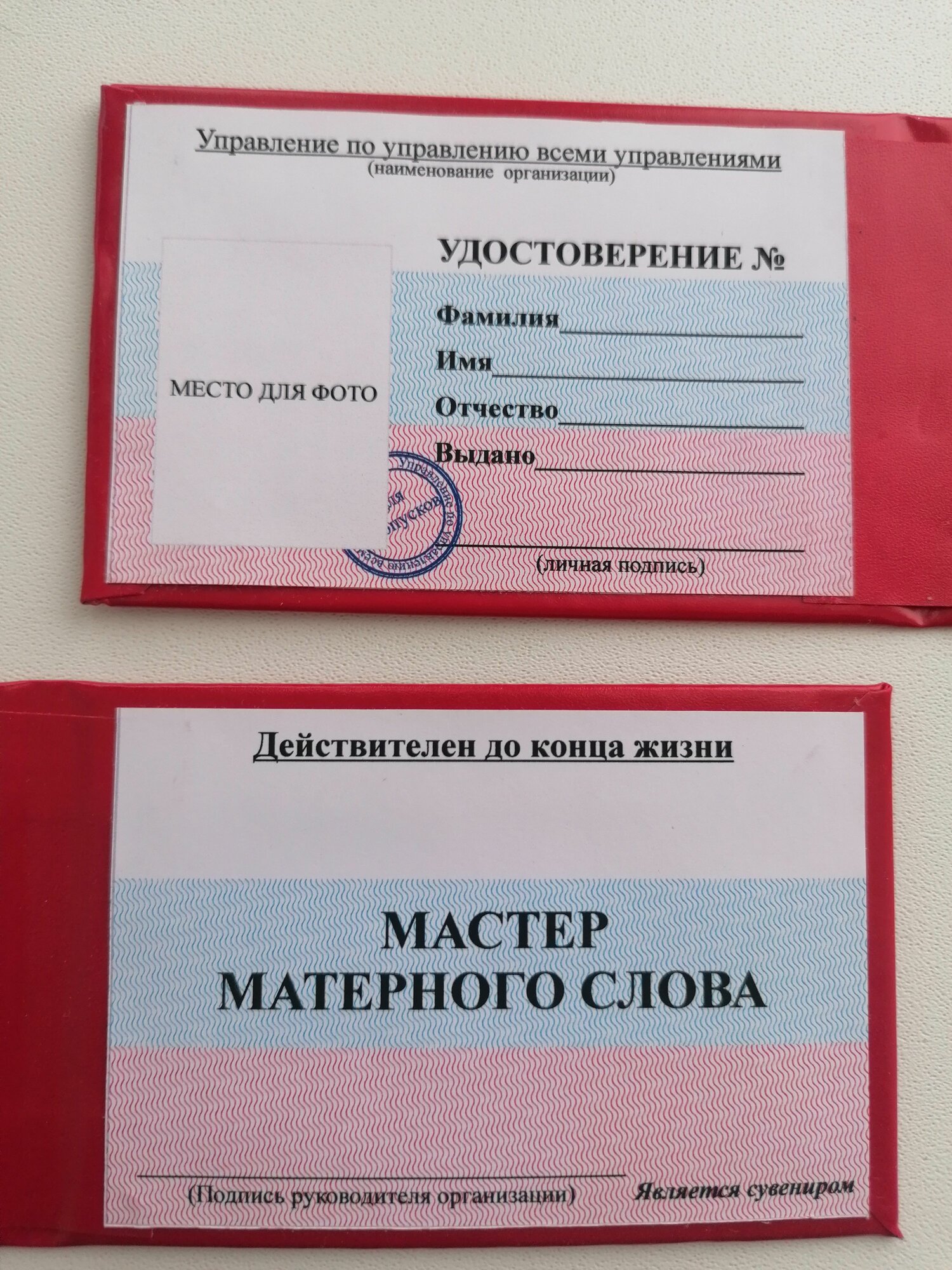 Удостоверение сувенирное ксива Мастер матерного слова