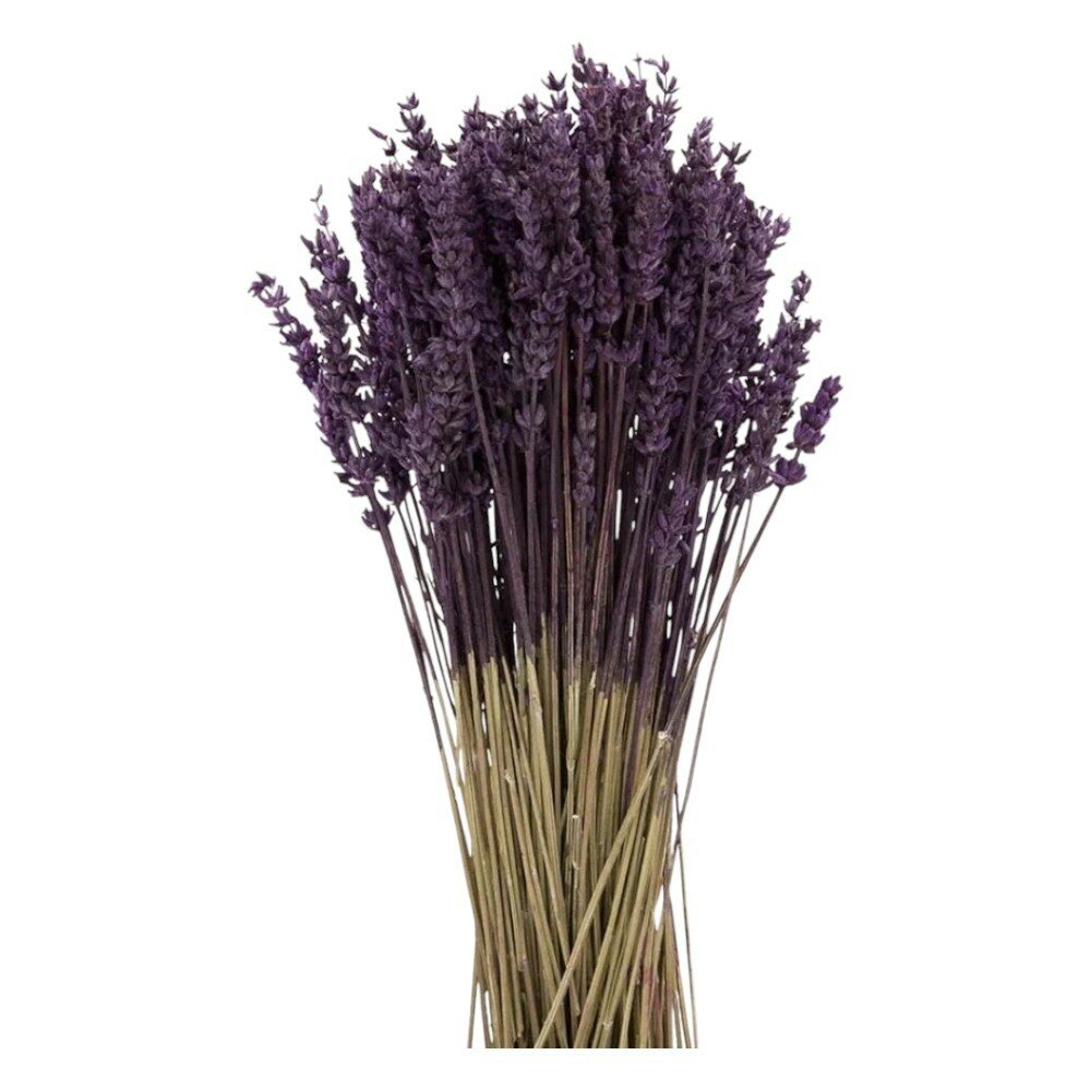 Растение искуственное лаванда стабилизированная банч, 40 см, сиреневый