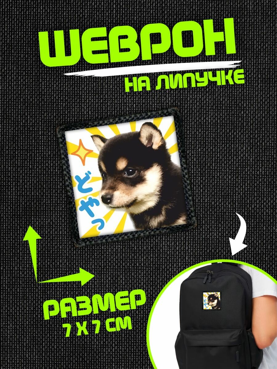 Шеврон на липучке нашивка Собака