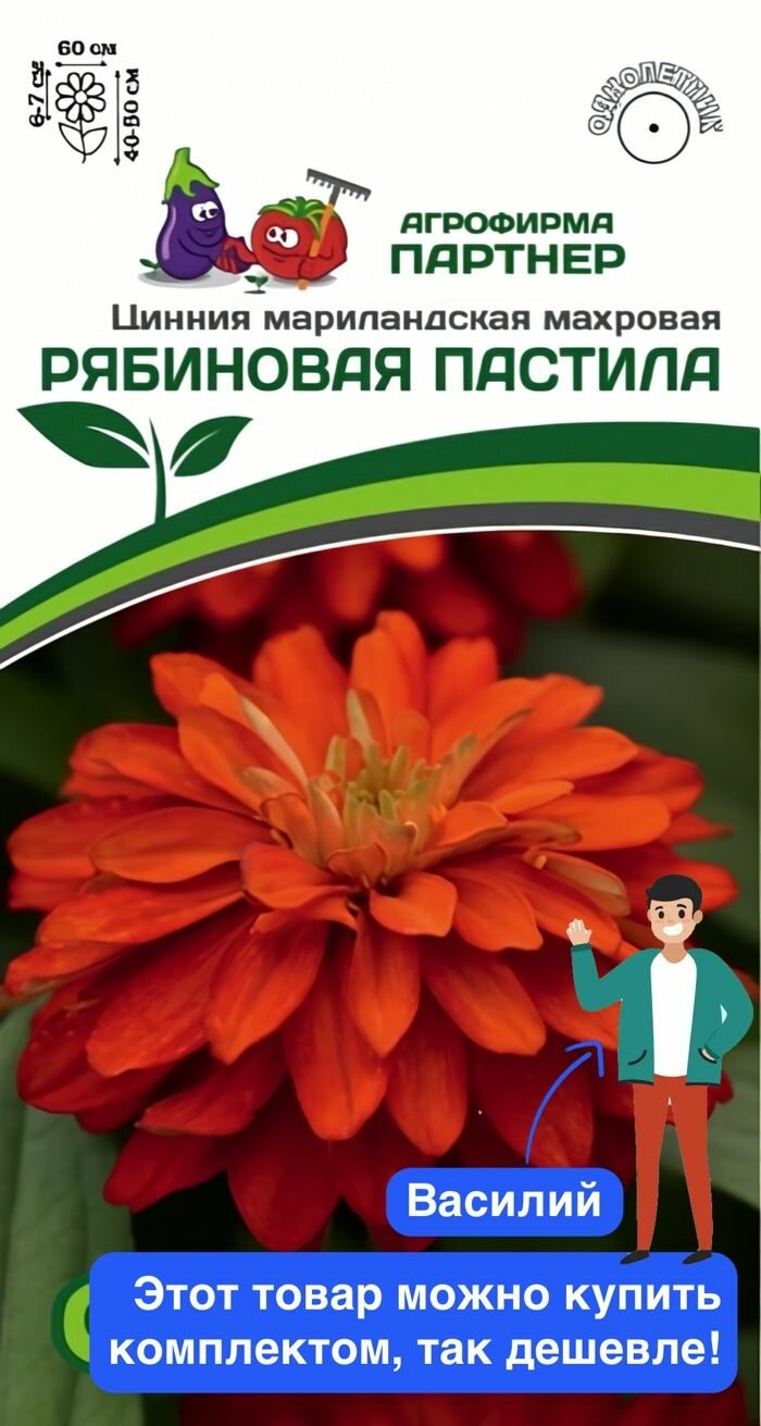 Семена цветов Агрофирма Партнер "Цинния Рябиновая Пастила Мариландская Махровая"