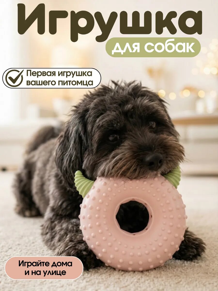 Пищащая игрушка для собак мелких и с средних пород с отверстием для корма