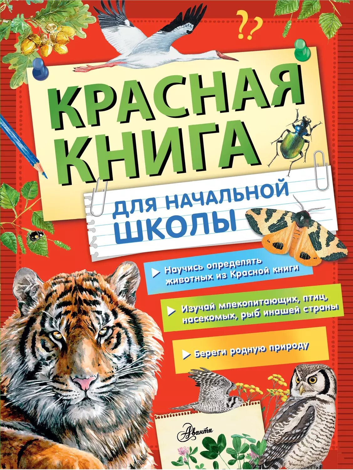 Красная книга России для начальной школы [Цифровая книга]
