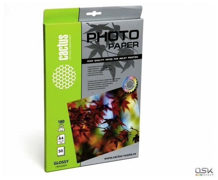 Фотобумага Cactus CS-GA418050 A4/180г/м2/50л./белый глянцевое для струйной печати