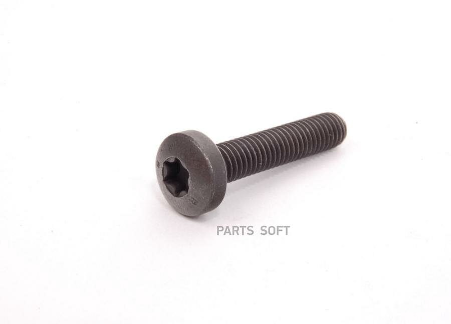 N10156205 VAG Саморез с внутренним torx