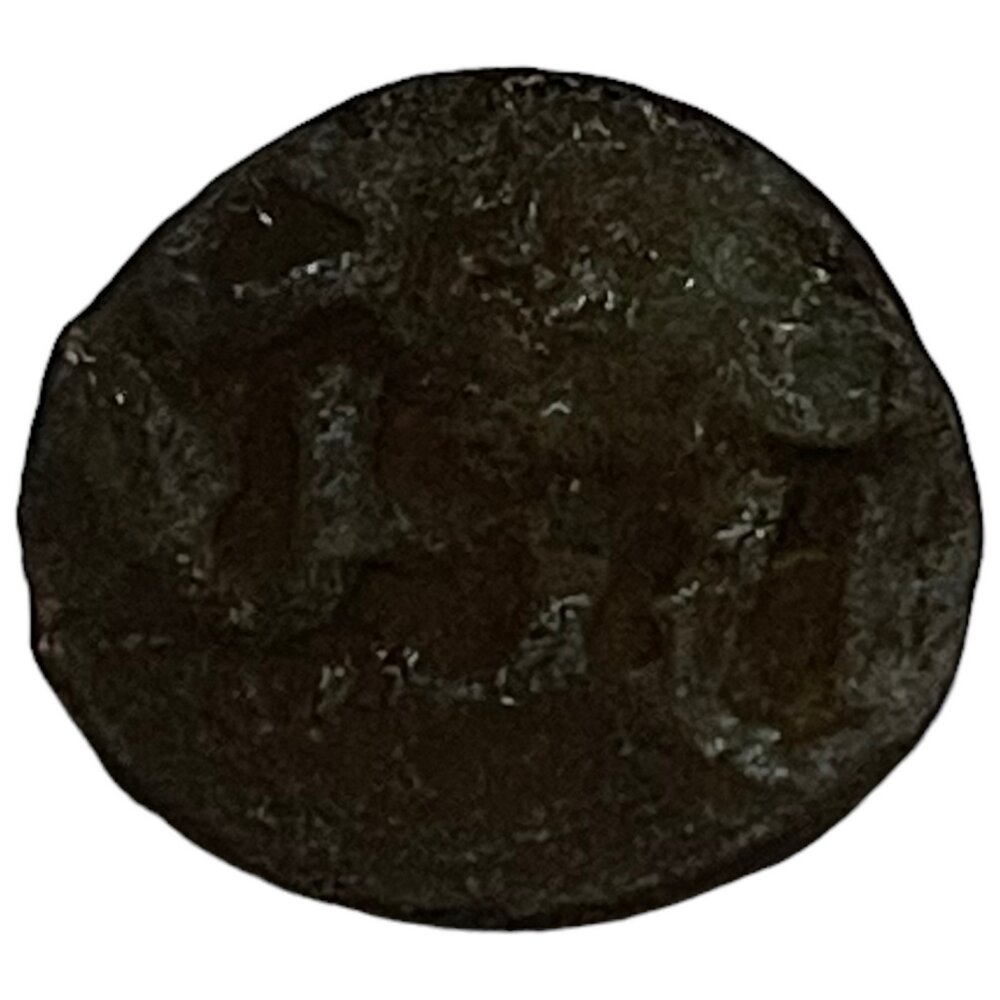 Золотая Орда (Джанибек) 1 пул 1342-1357 гг. (Цветок) (Лот №11)