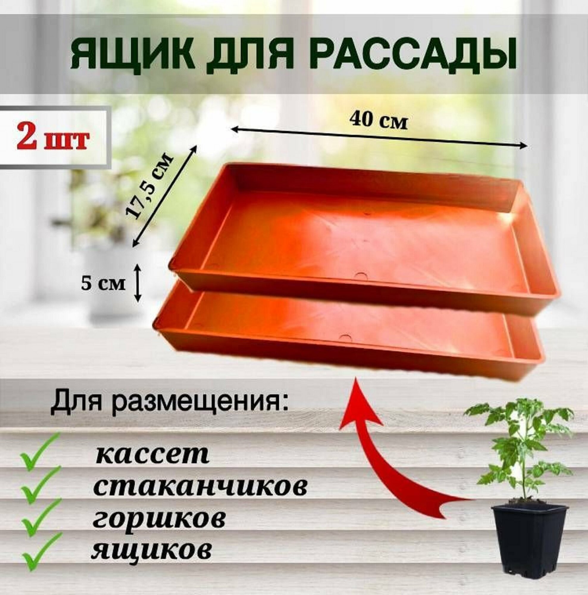ЯщикП для выращивания рассады, поддон для цветов, зелени 2 шт