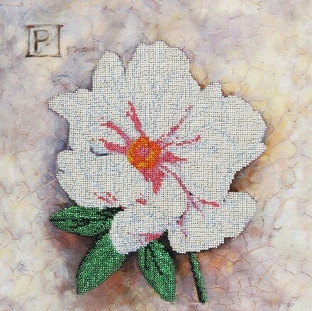 Набор для вышивания Астрея (Глурия) #50349 Р-Пион, Вышивка бисером, 30 х 30 см