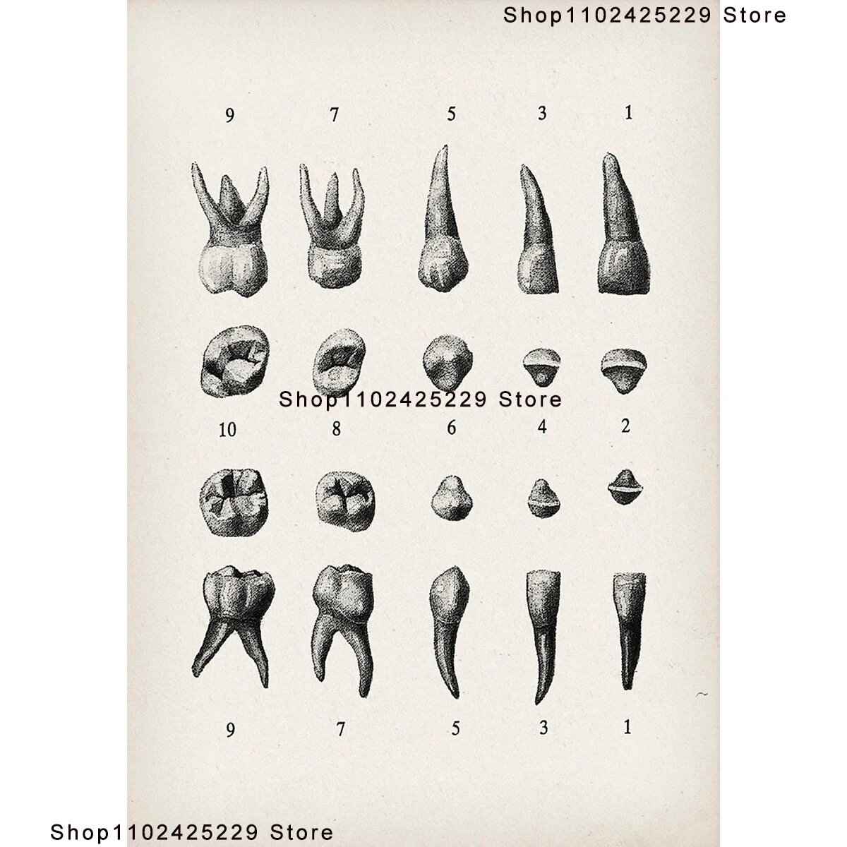 Плакаты для стоматологии, современный стиль 2, 40X60cm Unframed