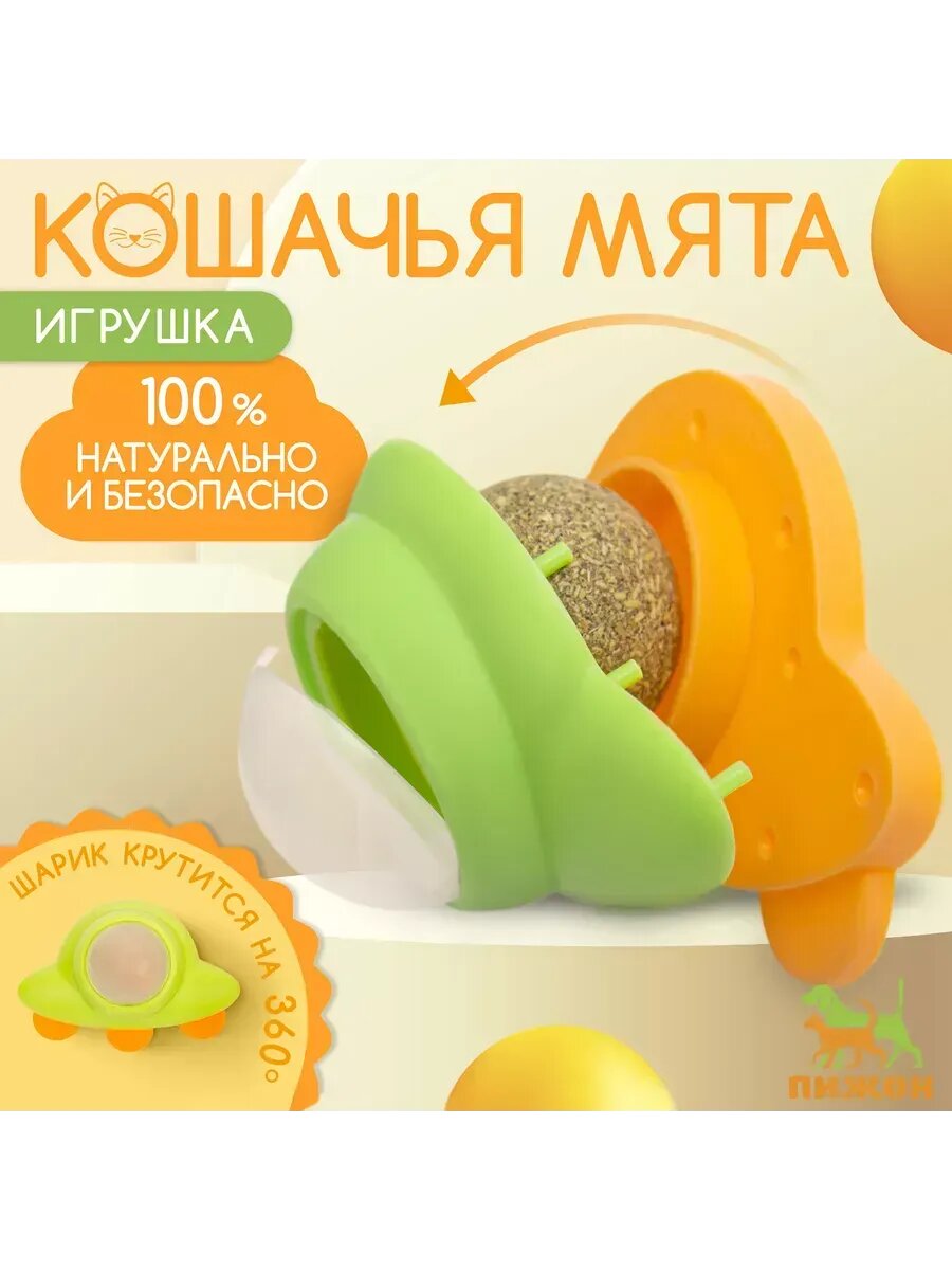 Кошачья мята
