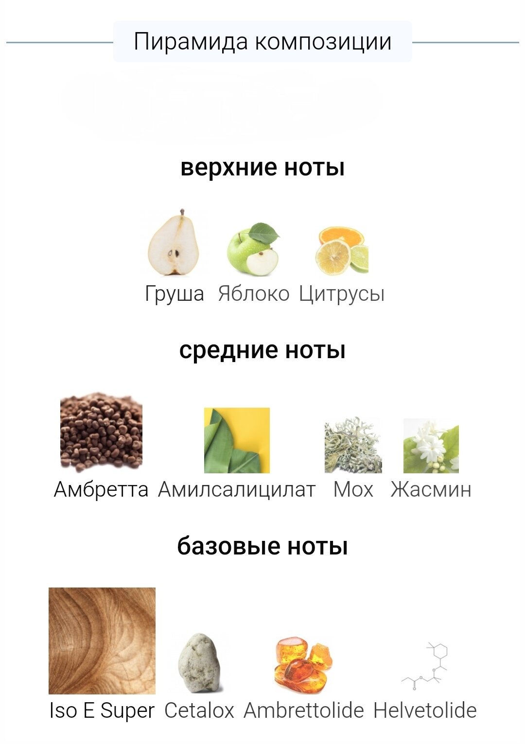 Духи ручной работы по мотивам 'Another 13', для мужчин и женщин — фото 1