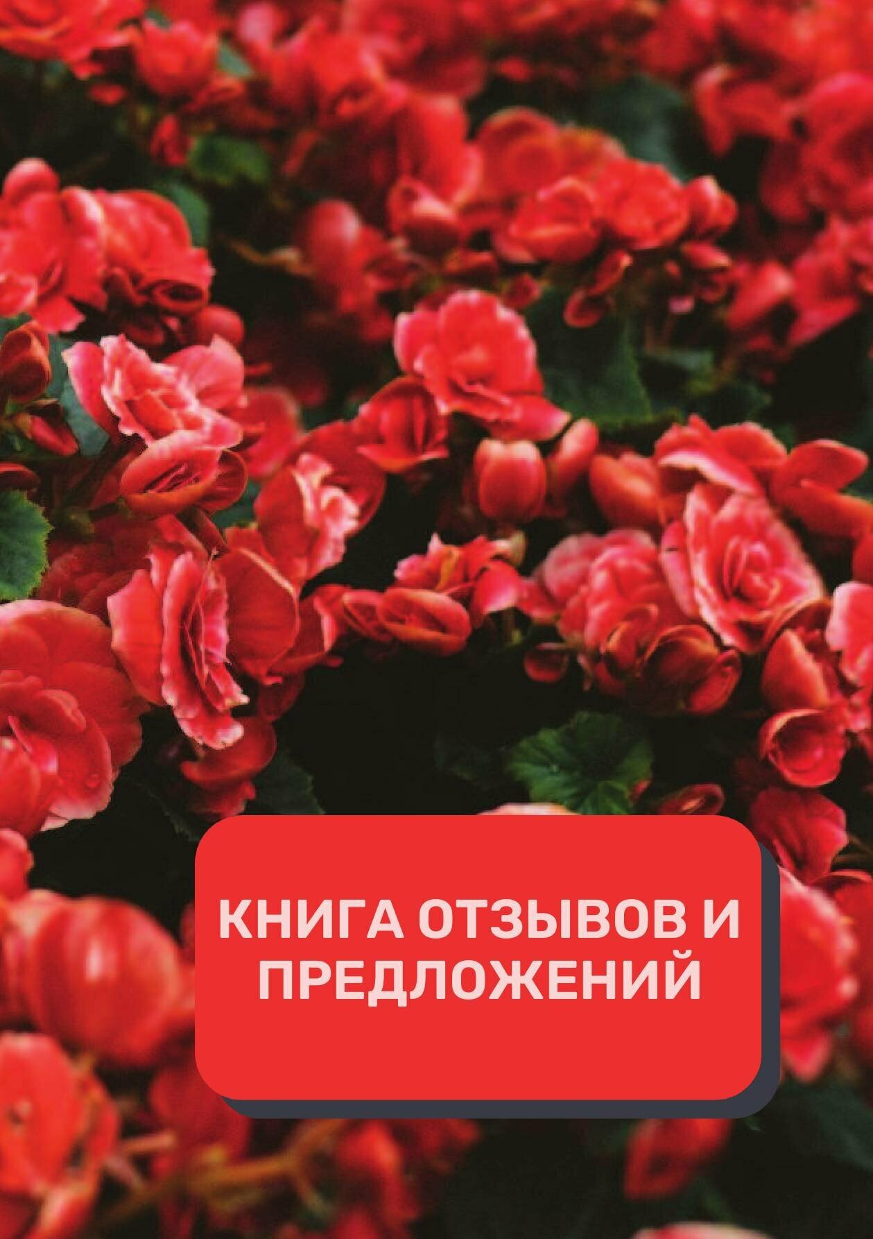 Книга отзывов и предложений (Универсальная)