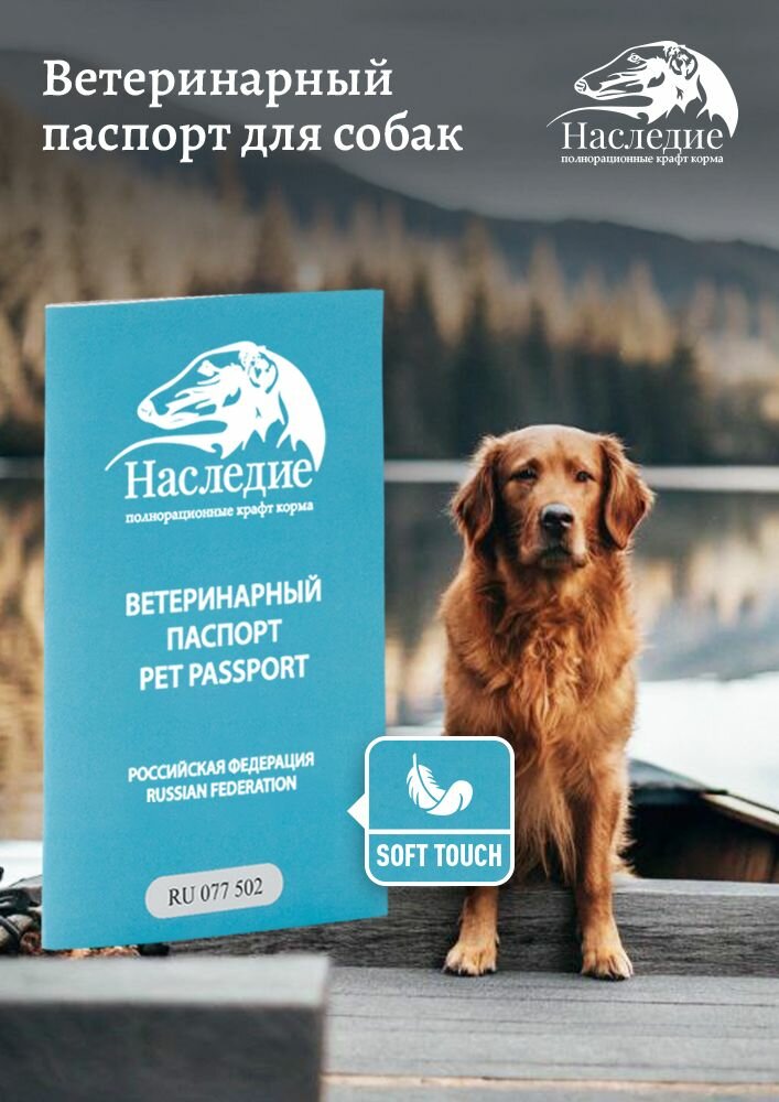 Ветеринарный паспорт для собак. Международный.