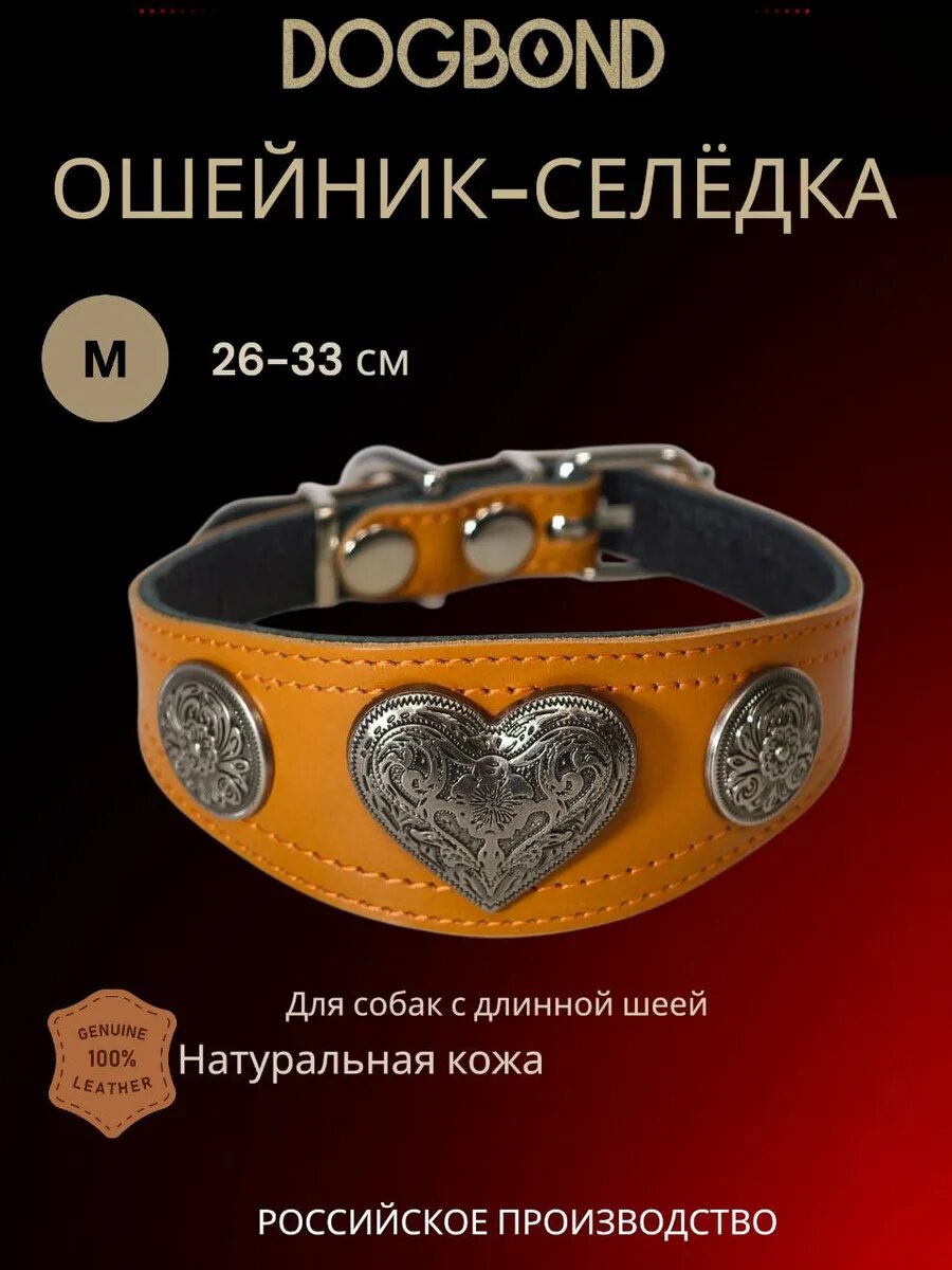 Dogbond ошейник-селедка для малых и средних пород