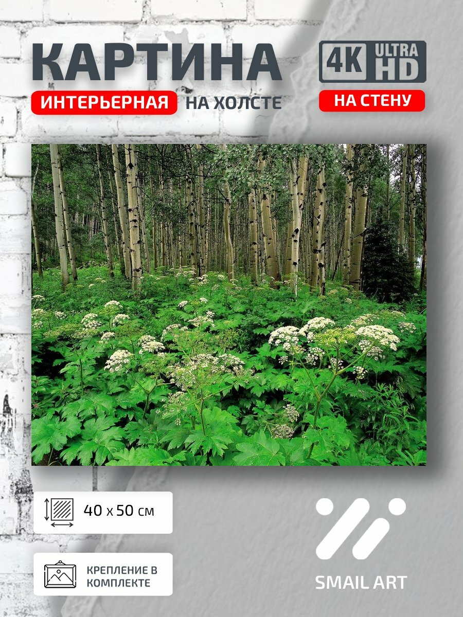 Картина на холсте интерьерная 40 на 50 на стену Лето Landscape для кабинета пейзаж интерьер