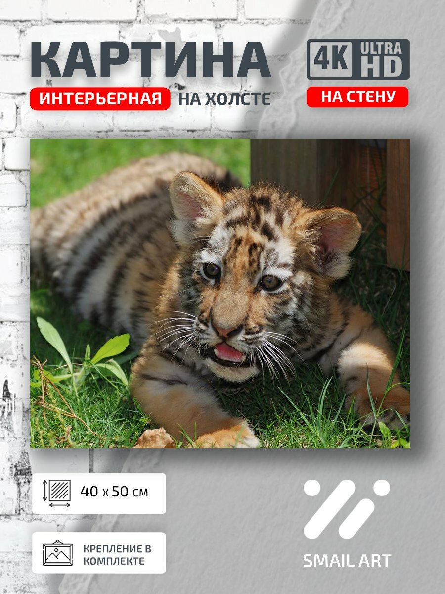 Картина на холсте интерьерная 40 на 50 на стену Трава Animal для гостиной animal style